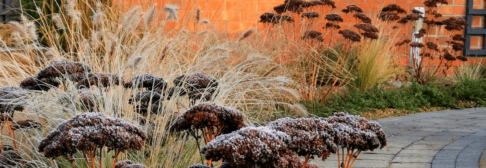 Maximizing Winter Interest: How to Create a Garden That Thrives in the ...